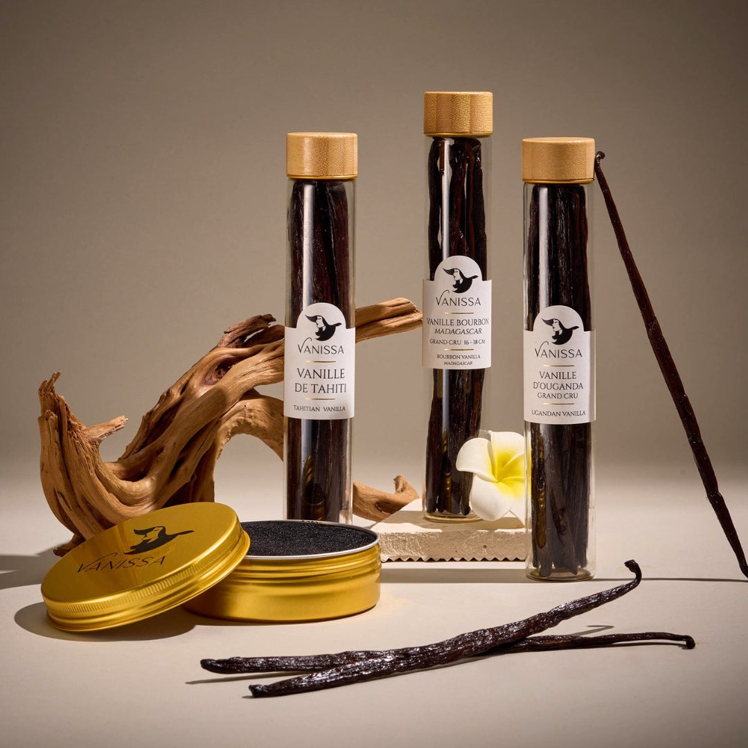 Vanille | Vanissa